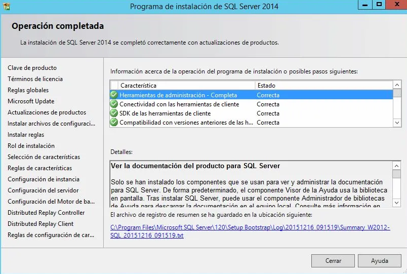 Instalación de Microsoft SQL Server 2014 SP1 Standard Edition – Centro de ayuda